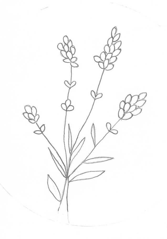 Harvesting Lavender To Make Sachets