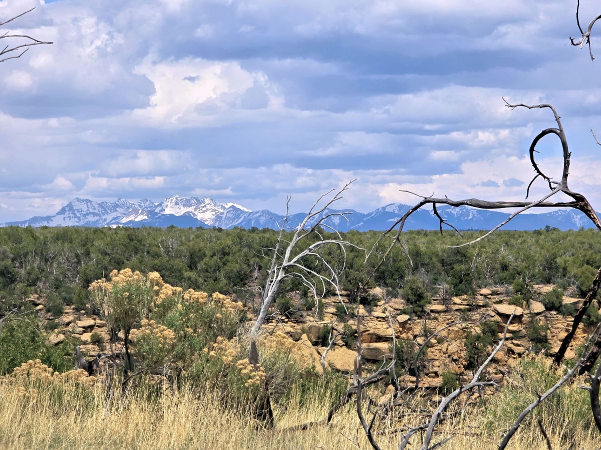 Mesa Verde National Park